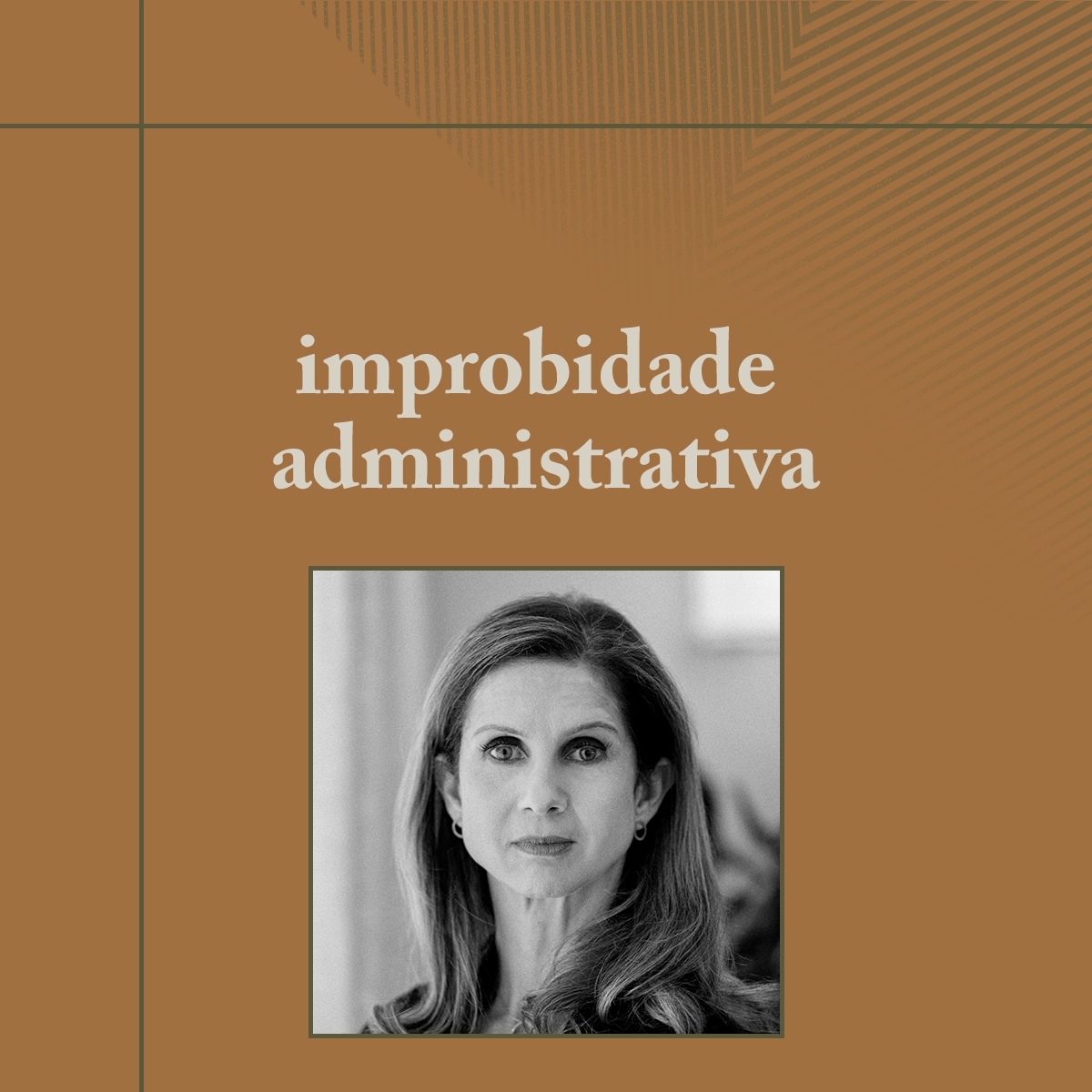 Hapner Kroetz Advogados - A nova lei de improbidade administrativa e ...